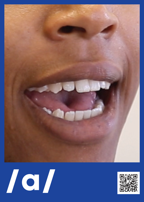 Benchmark Phonics - View Virtual Samples